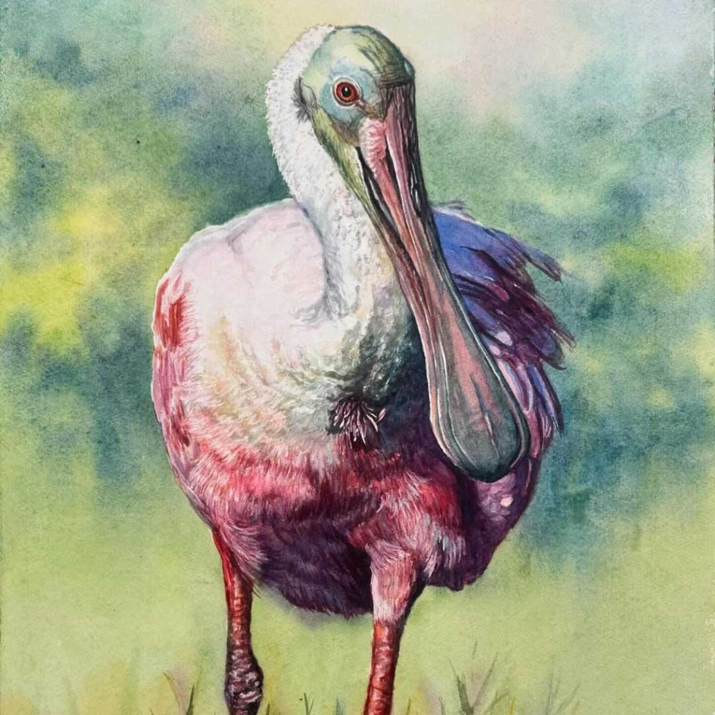 Painting Dynamic Wildlife Portraits & Landscapes with Donna Morrison ...